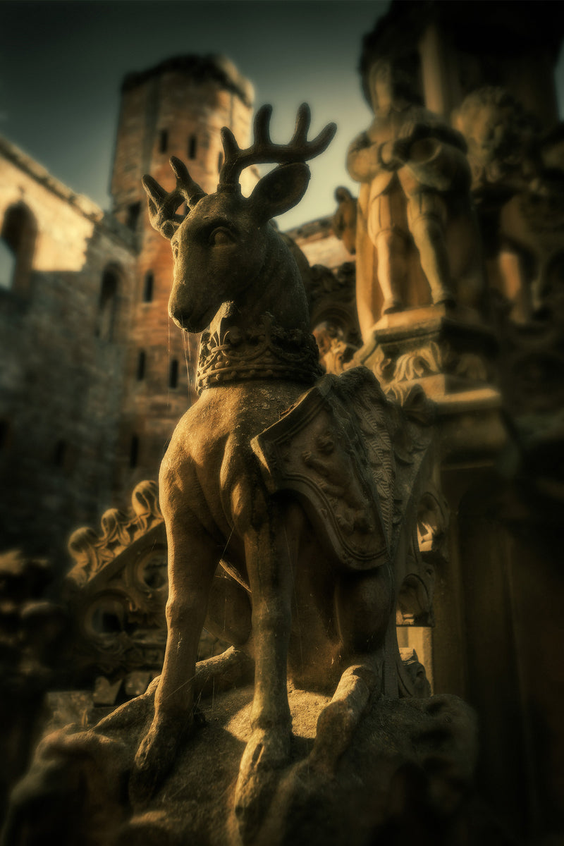 Linlithgow Palace Stag – Winram Gallery