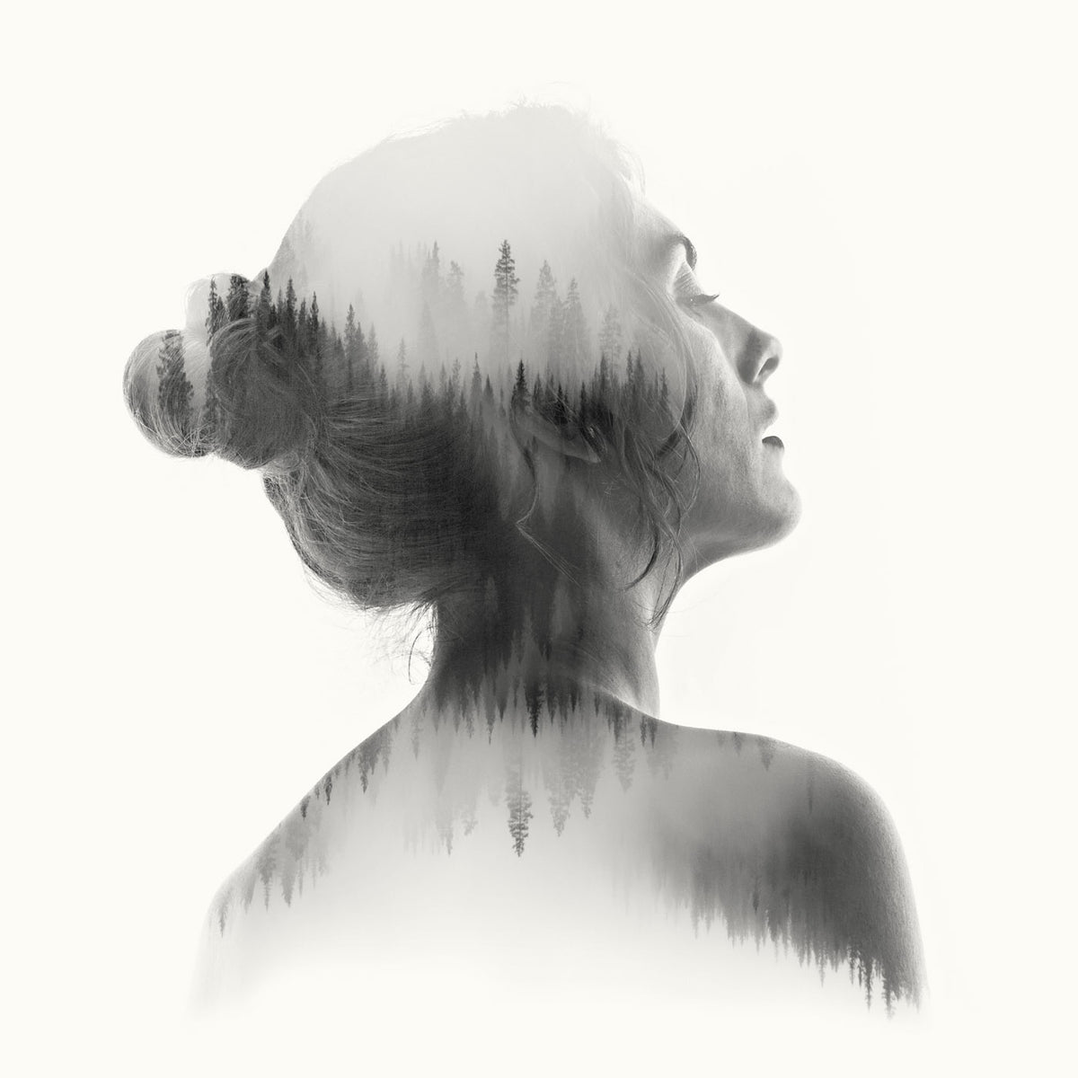 Ruby II – Winram Gallery